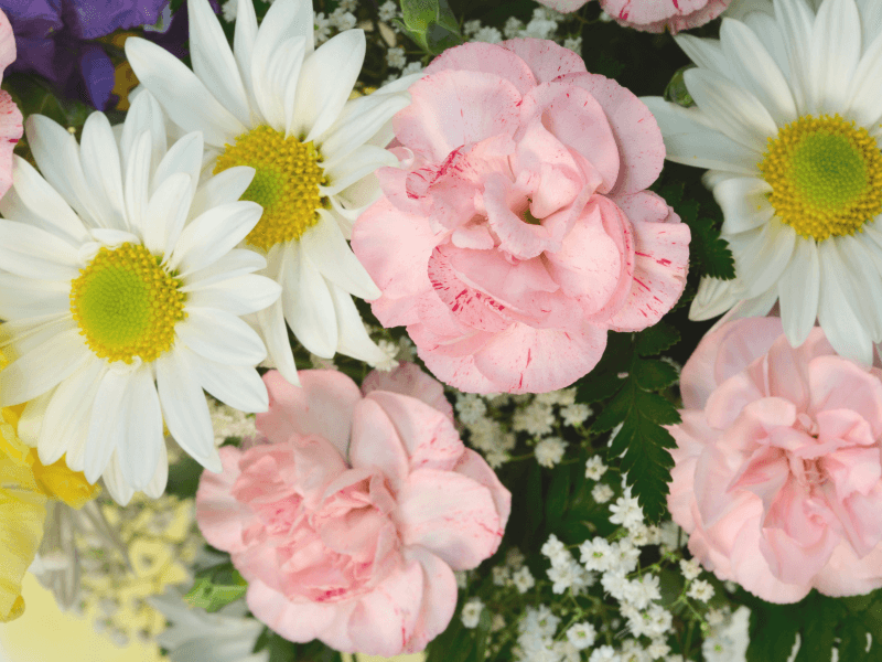 4 Lý Do Vì Sao Bạn Nên Cắm Hoa Tươi Trong Phòng - JupViec.vn